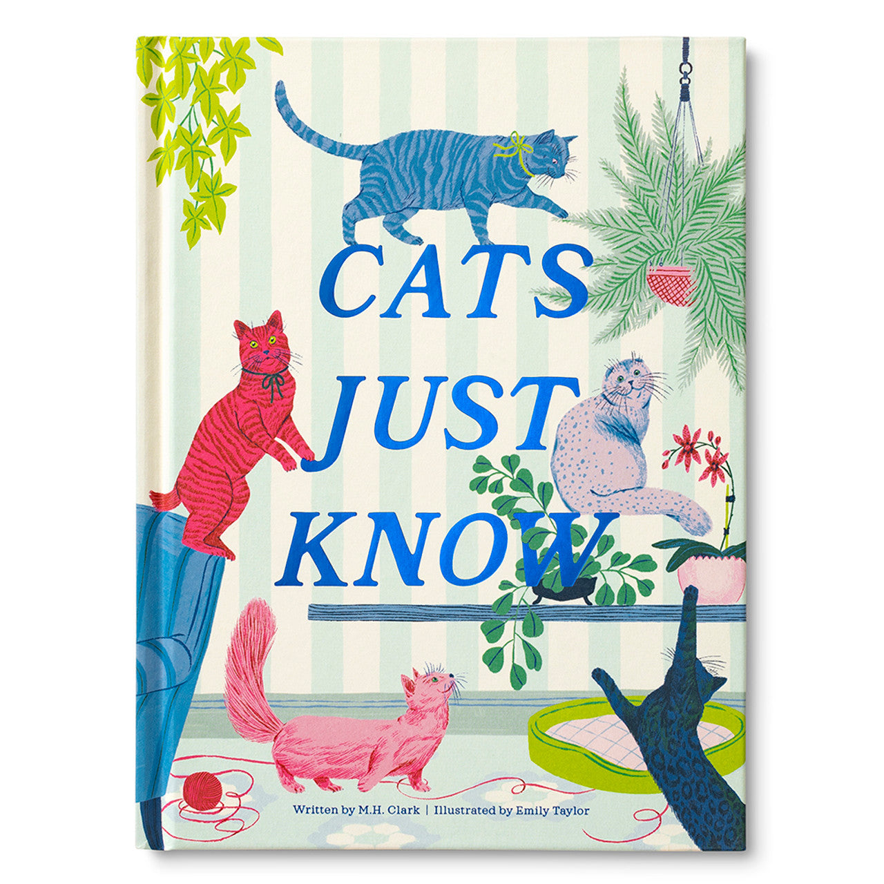 Cats Just Know – ICA Retail Store