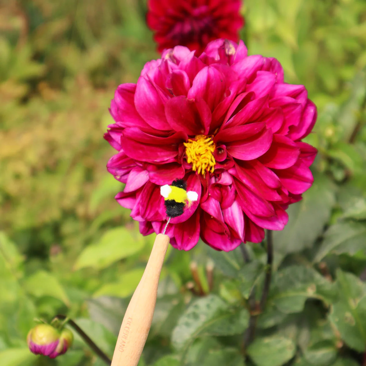 Pollination Wand – ICA Retail Store