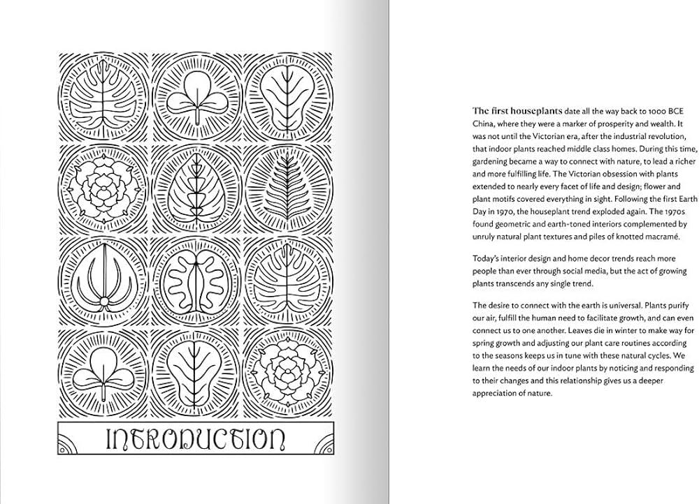 The Happy Houseplant Coloring Book – ICA Retail Store